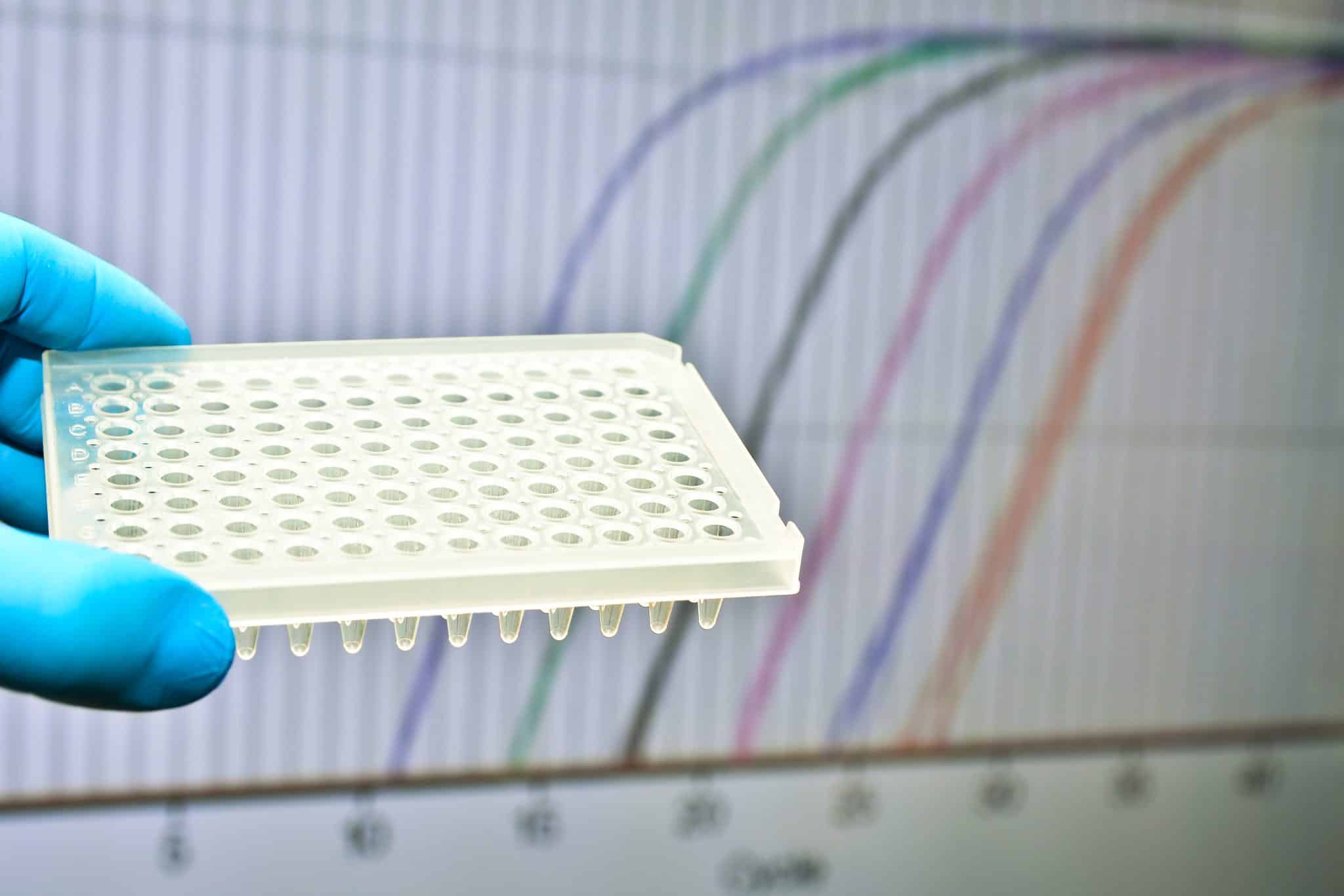 Real-Time PCR Primer Design - Rhenium Bio